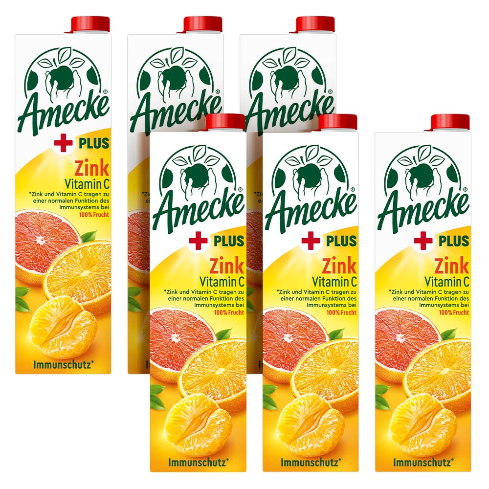 Amecke + Zink Fruchtsaftkonzentrat 6x 1,0 l | office discount