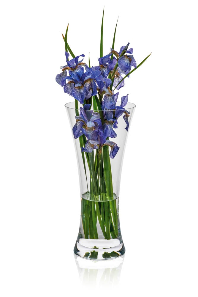 RONA Vase Ambiente transparent, 1 St. | office discount